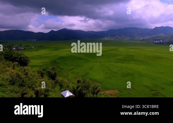 Aerial view of Lodok or spider web rice fields in Cancar village ...
