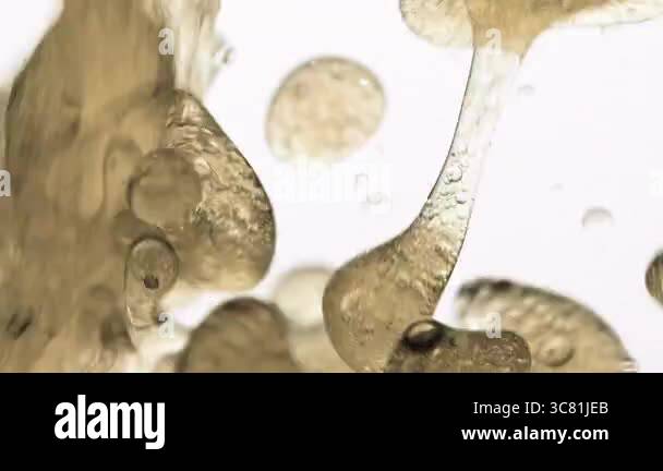 Closeup oil and water interaction showing floating bubbles, detailed ...