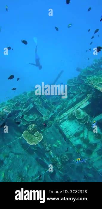 Vaavu Shipwreck lies submerged near Keyodhoo Island in the Maldives ...