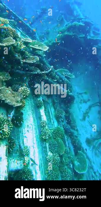 Vaavu Shipwreck lies underwater near Keyodhoo Island in the Maldives ...