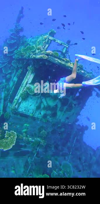 Freediver exploring the Vaavu Shipwreck underwater near Keyodhoo island ...