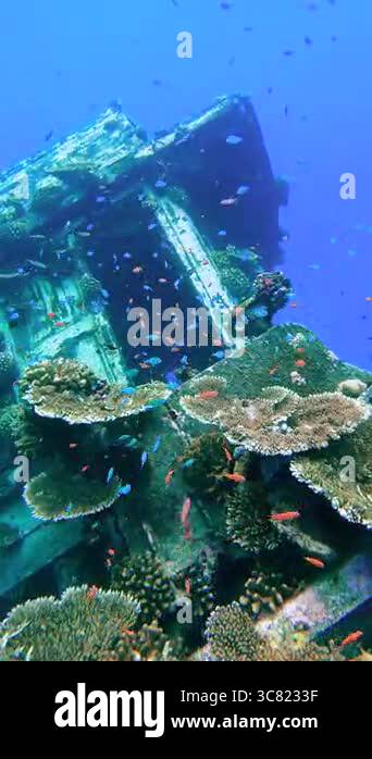 Vaavu Shipwreck lies underwater near Keyodhoo Island, Maldives ...