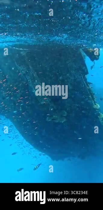 Vaavu Shipwreck is partially submerged underwater off Keyodhoo Island ...