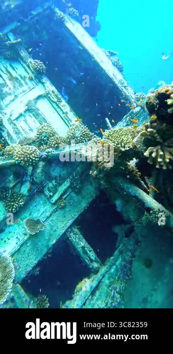 Inside Vaavu Shipwreck lies submerged near Keyodhoo Island, Maldives ...