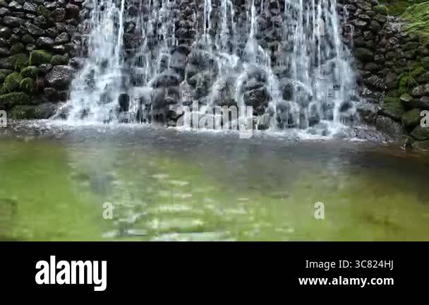 Natural Water Source in the Forest Stock Video Footage - Alamy
