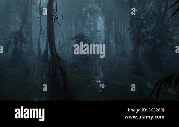Forest Swamp in the morning before the rain, loop video Stock Video ...