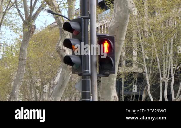 Pedestrian signal switching from stop to walk, urban crossing moment ...