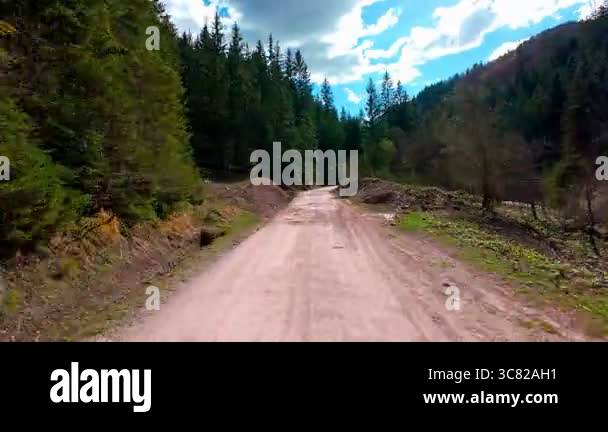 FPV drone aerial view soaring above winding dirt road through dense ...