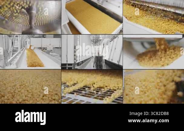 Multi Screen Collage of modern pasta factory. Close-up of dry pasta ...