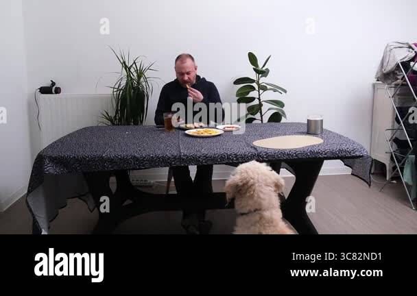 Interaction domestic Stock Videos & Footage - HD and 4K Video Clips - Alamy