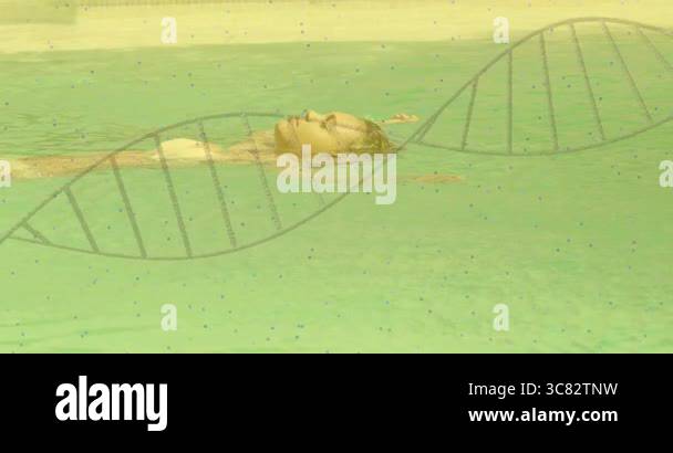 Floating in pool, woman with DNA strand animation overlay, relaxing in ...
