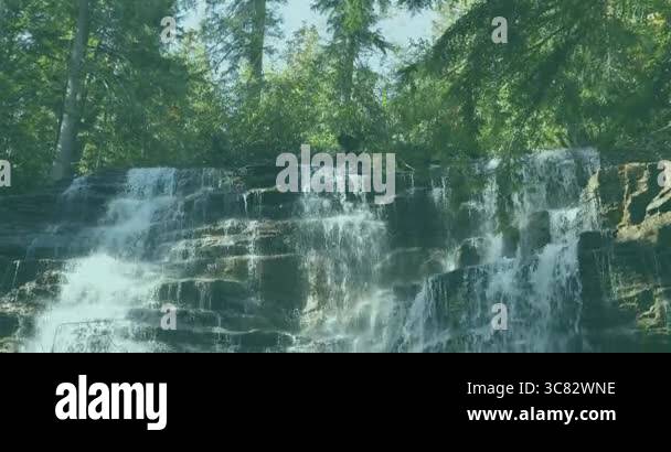 Waterfall cascading over rocky cliff with lush green trees surrounding ...