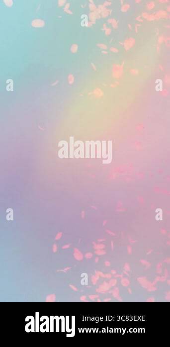 Elegant Sakura Petals with Pastel Color Gradient High Quality Loop ...