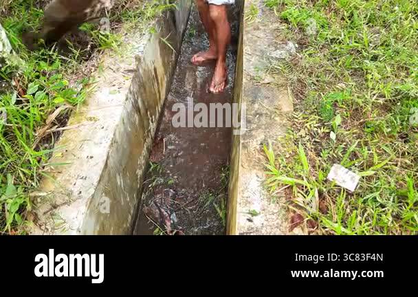 Barefoot man cleaning a dirty outdoor drain using a shovel in Indonesia ...