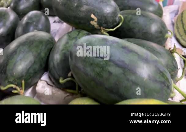 A whole watermelon sits round and vibrant, with a dark green rind ...