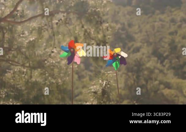 Two Colorful Pinwheels Standing Against a Sunlit Forest Background with ...