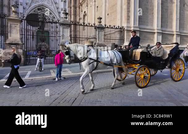 Black horse pulling carriage Stock Videos & Footage - HD and 4K Video ...