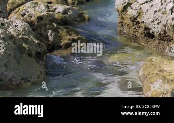 Crystal Clear Stream Gently Flowing Over Stones. Slow motion close-up ...