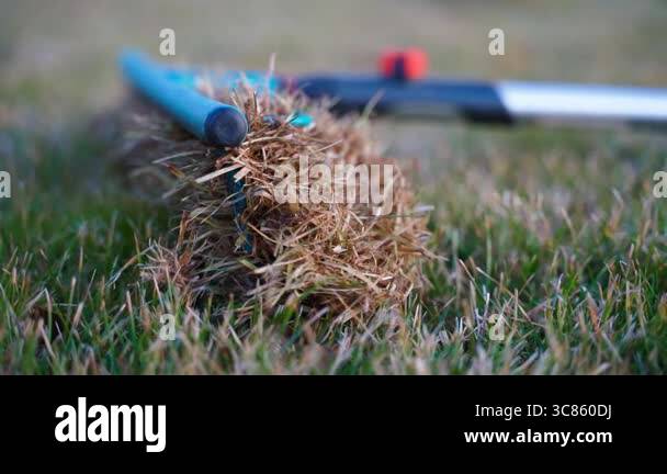 Dry grass packed between the teeth of a rake, close-up, smooth camera ...