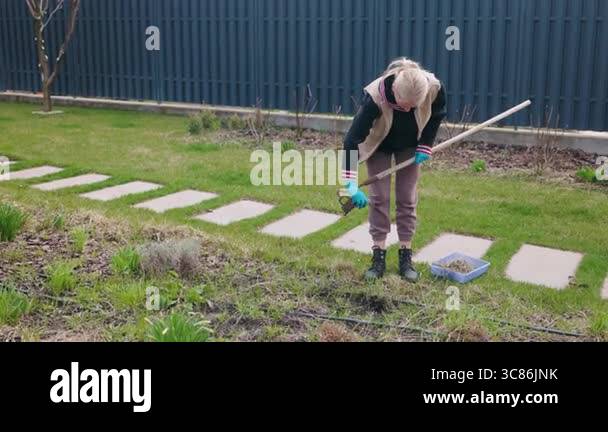 Middle-aged woman weeding an overgrown flower bed in the backyard ...