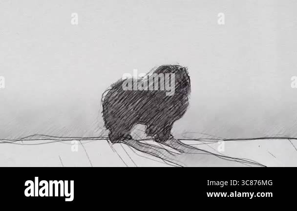 Evolution drawing Stock Videos & Footage - HD and 4K Video Clips - Alamy