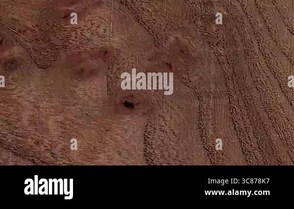 Store displays various carpet designs and textures. Showroom offers wide range of options from ...