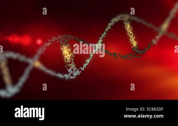 The DNA chain rotates in a helix.This video make a perfect concept for ...