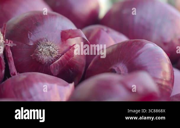 Bright red onions farmers Stock Videos & Footage - HD and 4K Video ...