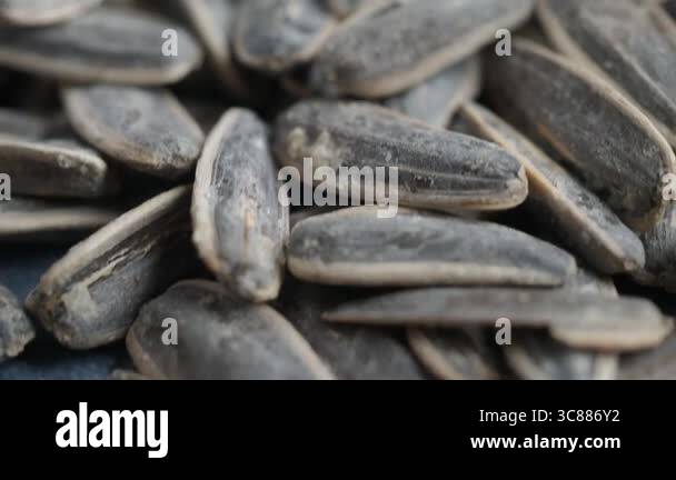 Discover the rich textures and colors of sunflower seeds up close and ...
