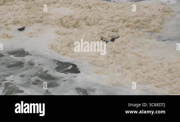 The image of a combination of slime-like organic substances seen in the ...