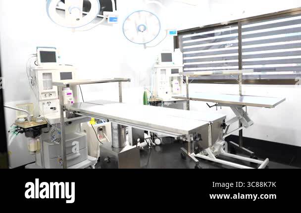 Modern veterinary operating room equipped with advanced technology ...