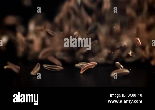 Cumin seeds fall on the table. Filmed on a high-speed camera at 1000 ...