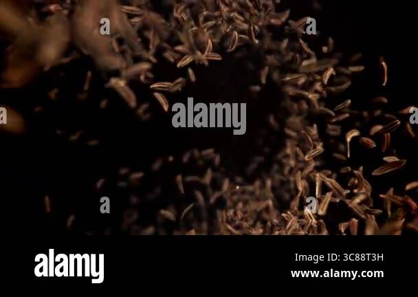 Cumin seeds fall down. Filmed on a high-speed camera at 1000 fps. High ...