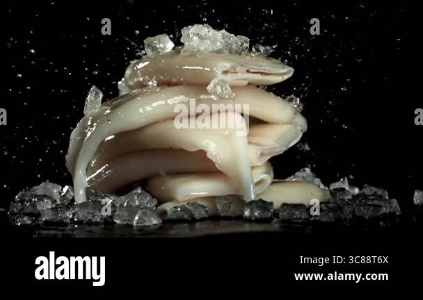 Ice falls on the squid carcasses. Filmed on a high-speed camera at 1000 ...