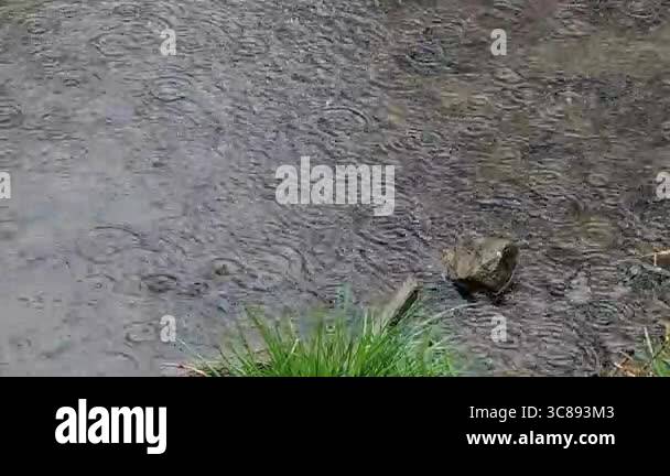 Wet water in puddle Stock Videos & Footage - HD and 4K Video Clips - Alamy