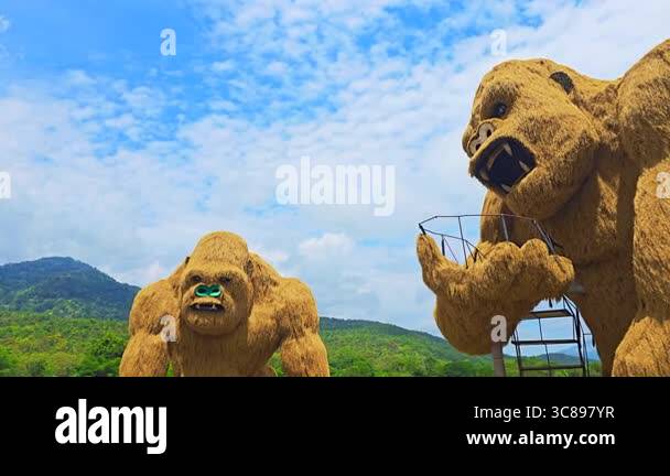 Chiang Mai Series : King Kong straw puppets in the middle of the rice ...