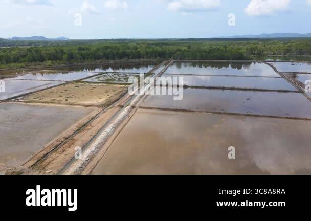 Top view of salt farming near a mangrove forest. Taken from a drone ...
