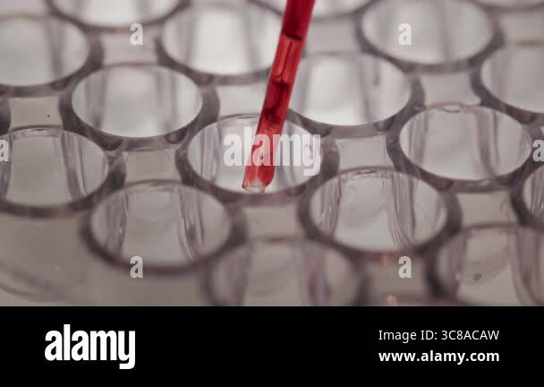 Pipette drip drops laboratory test Stock Videos & Footage - HD and 4K ...