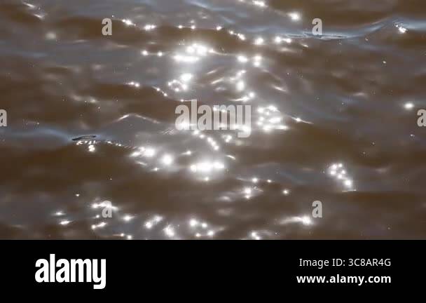 Sunlight dancing across dark water surface, creating mesmerizing ...