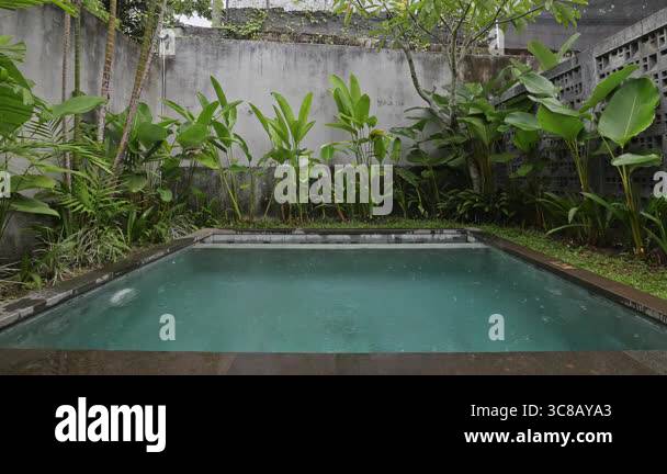 luxury swimming pool set in lush countryside of palm trees Stock Video ...