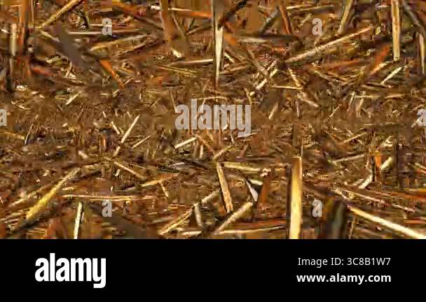 Dark Gold Sharp Fragments, Elite Template, Colors, Motion Background ...