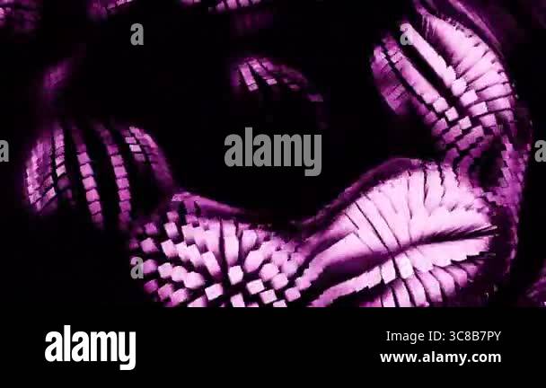 Dynamic abstract visuals showcase striking purple textures set against ...