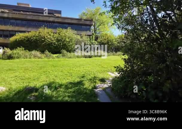 sunlit forest path walk with green trees grass nature summer day ...