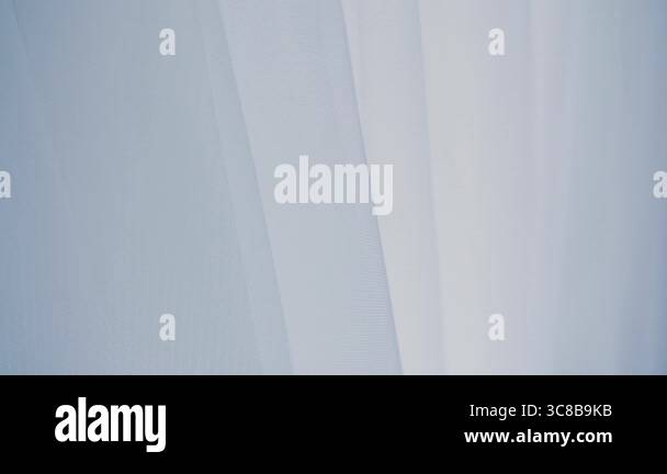 Detailed macro shot highlighting the intricate textures and patterns of ...
