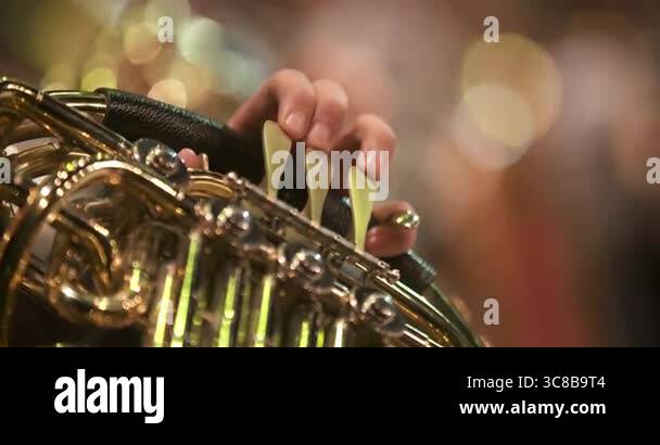 Professional musicianship Stock Videos & Footage - HD and 4K Video ...