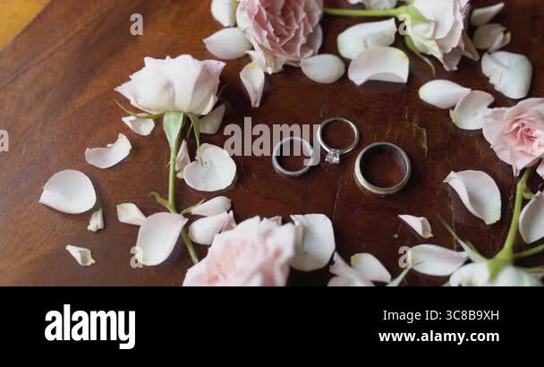 Close-up view of three wedding rings surrounded by beautiful rose ...