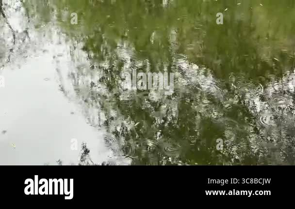 Drops of drizzling spring rain falling on a pond, weather and nature ...