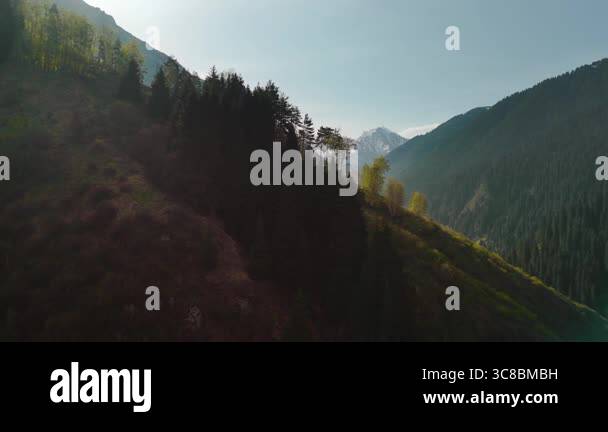 Beautiful aerial drone scenery of the river in the mountains and green ...