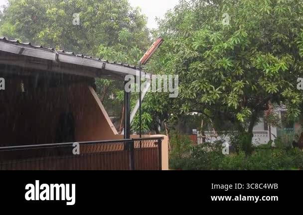 Trees hit by heavy rain and wind in a park in a housing complex. Rain ...