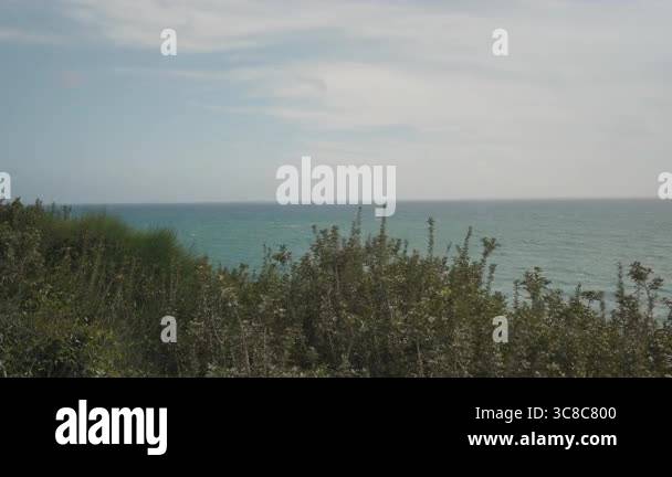 Bushes Blowing in the Wind on a Cliff Overlooking the Wavy Sea under a ...